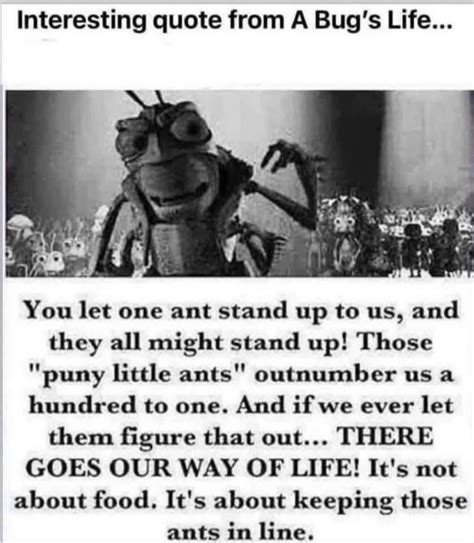 Movie With Grasshopper Quotes Music Andrew Pekler