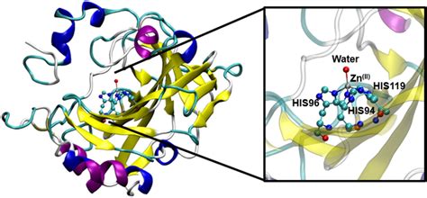 Structure Of Hca Ii Pdb Id 2cba Protein Backbone Coloured By