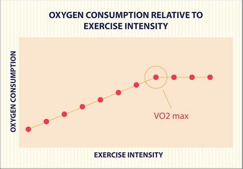 Free Vector Vo2 Max And Exercise Intensity Graph