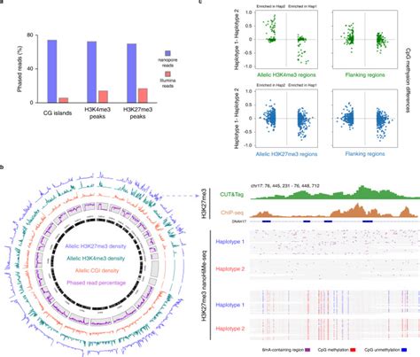 Anti Histone H3k4me3 Pab Active Motif Bioz