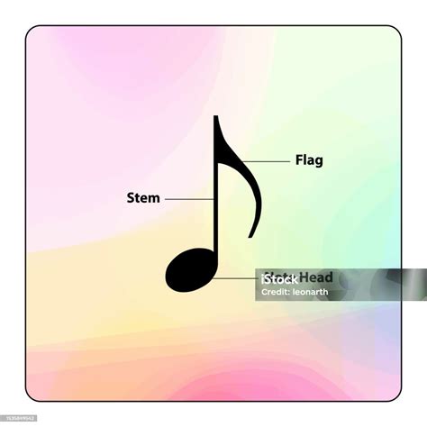 Notenaufbau Teile Einer Notiz Lernen Stock Vektor Art Und Mehr Bilder