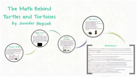 The Math Behind Turtles And Tortoises By Jenni Haycook On Prezi