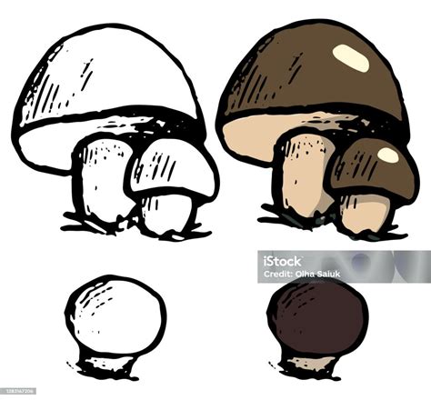 볼레투스 에둘리스의 낙서 가을 수확 버섯의 현실적인 잉크 스케치 손으로 그린 벡터 식물 삽화 흰색으로 분리된 블랙 컨투어 및 컬러 드로잉 디자인 장식 인쇄 카드용 0명에