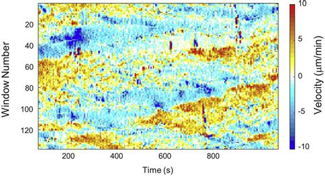 cell press star protocols