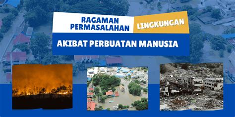 Home Lms Tp