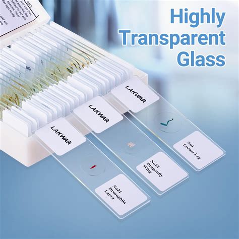 25 Insect Microscope Slides