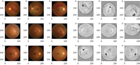 input images before and after preprocessing download scientific diagram