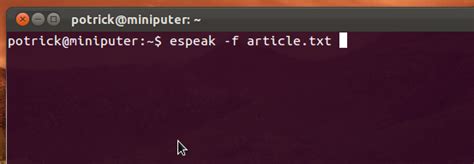 Give Your Computer A Voice With Espeak [windows And Linux]