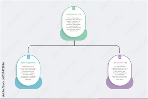 Business Management Level Distribution Structure Infographics Design