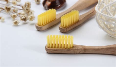 How To Brush Teeth With A Twig Natural Toothbrushing Tools