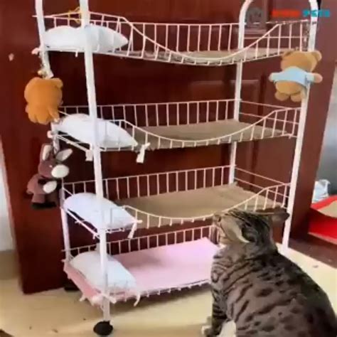 C Process Stack Rcat