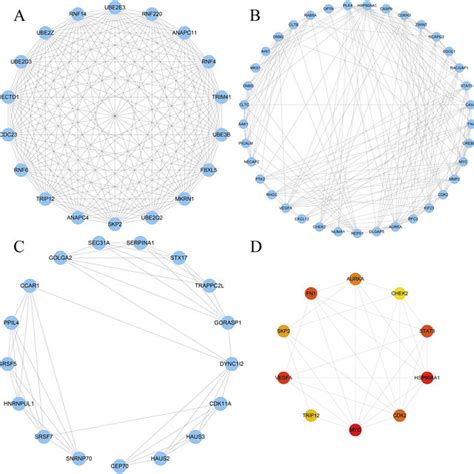 Pathway Analysis Of Survival Related Alternative Splicing Genes A