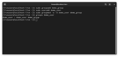 How To Check The Groups A User Belongs To In Linux GeeksforGeeks