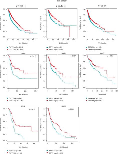 Correlations Of Trpv1 Expression With Clinical Characteristics And Download Scientific Diagram