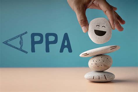 Ppadisc Som Energibarometer Thomas International