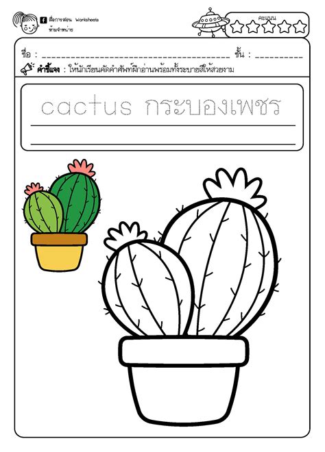 โปรเปิดตัวงานใหม่ ️สมุดระบายสี 7 สื่อการสอน Worksheets