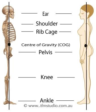NUR Physical Assessment Chapter General Survey Measurement Flashcards Quizlet