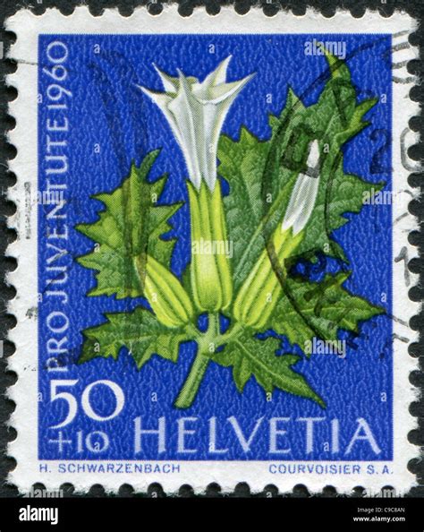 Switzerland 1960 A Stamp Printed In Switzerland Depicts Flower Datura