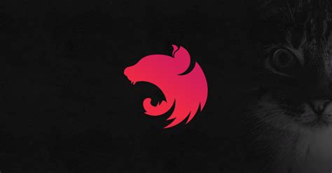 Build An Interactive Cli Application With Nestjs Nest Commander By Vandeth Tho Medium