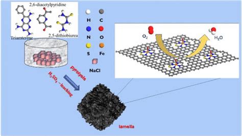 In Situ S Doping Strategy Of Promoting Iron Coordinated By Nitrogen Doped Carbon Nanosheets For