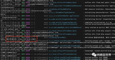 全网最全的docx、pptx、xlsx、pdf文件预览方案（典藏版） csdn博客
