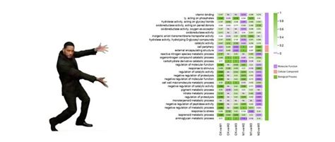 生信工具 如何用origin绘制好看的q值热图？ 知乎