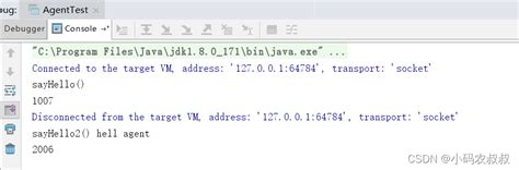 Java Agent 使用java Agent与目标代码一起运行 Csdn博客