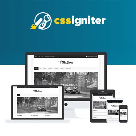 DOWNLOAD CSS Igniter Nozama WooCommerce Theme 1 9 6 ThemePlugin Org