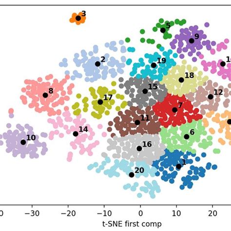 selected clustering representation of the two dimensional t sne