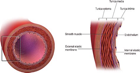 Cray Xt6 Semantic Scholar