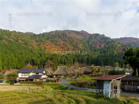 高台から見る秋の美山かやぶきの里の風景の写真素材 196344065 イメージマート
