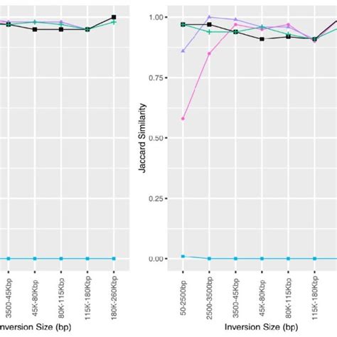 Accuracy Of Predicted Duplications From Simulated Short Read Data Download Scientific Diagram