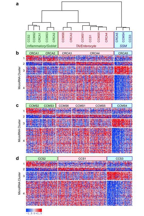 2 subtypes consensus clustering applied to differentially expressed