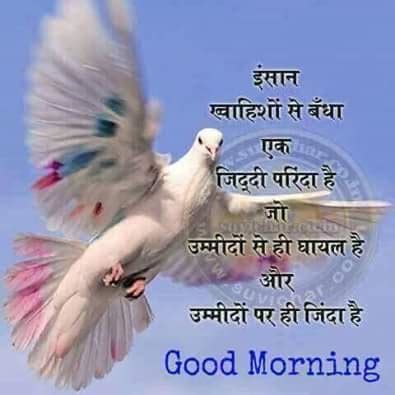 Rika Blog Good Morning Images With Doves