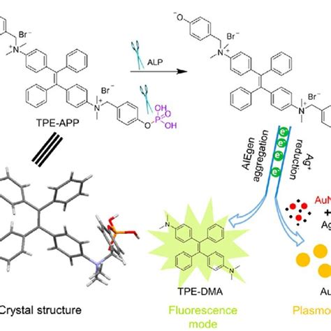 Aie Materials For Virus Detection Schematic Illustration Of Download Scientific Diagram