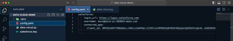 How To Use The Python Connector For Data Cloud Salesforce Developers Blog