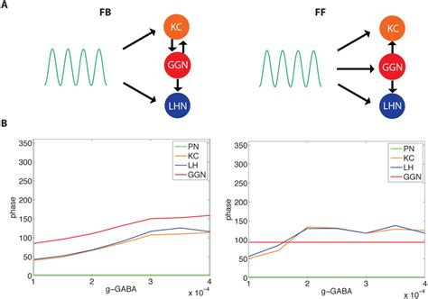 Simplified Model With Sine Wave Input And Single Cells Representing