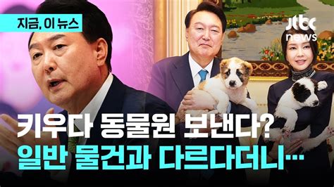 강아지 땐 관저 크면 동물원으로 윤 대통령 부부 새 가족된 투르크 국견 알라바이｜지금 이 뉴스 Youtube