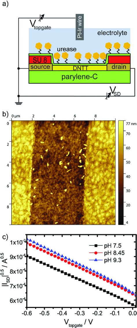 A Schematic Of The Ofet Device Architecture And Measurement Scheme In