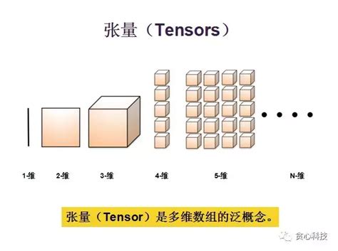 张量 tensor 的技术以及它在不同场景中的应用 知乎