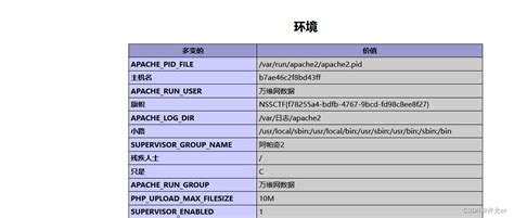 Nssctf Web 入门（5） Swpuctf 2021 新生赛 Easyupload20 Csdn博客