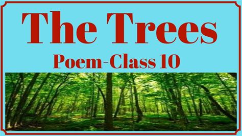 Trees Poem In English Class At Caitlin Grimmett Blog