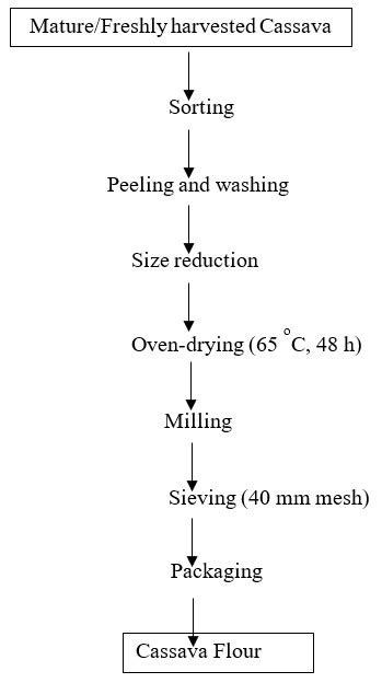 Flow Chart For Cassava Flour Production Source Awolu Et Al 2022