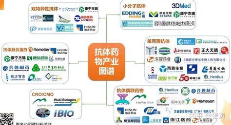 中国抗体药物行业分析与投资思考5 中国抗体药物典型企业及研发布局 知乎