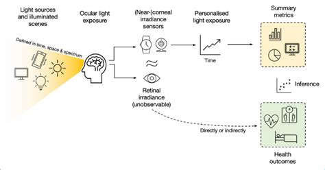 Overview Of The Light Dosimetry And Light Logging Pipeline Download