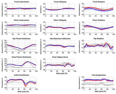 Fig 3 Example Of Data In Clinical Gait Analysis Report For Bilateral