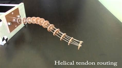 Continuum Robot With General Tendon Routing Youtube
