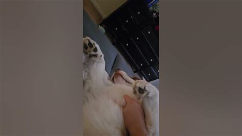 Pov Giving A Pretty Boy A Scratch Youtube