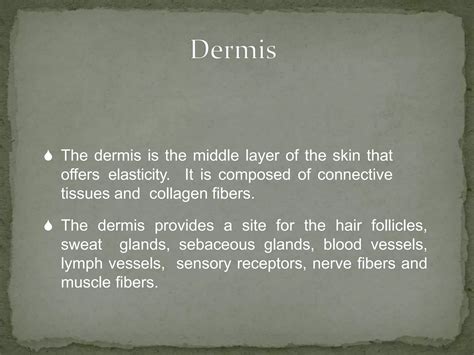 1 Introduction To Skin Path 321 Pptx