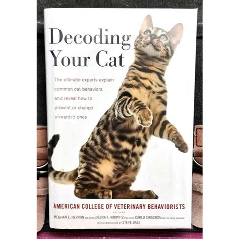 《hc》decoding Your Catthe Ultimate Experts Explain Common Cat Behaviors